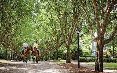 Southern Spotlight: Glory Restored at Barnsley Resort - Southern Lady ...