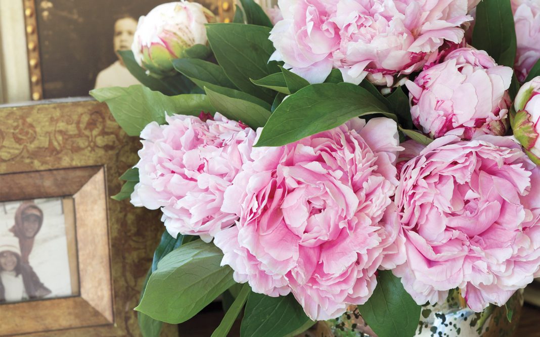 Southern Cottages 2019 Issue Preview - Southern Lady Magazine