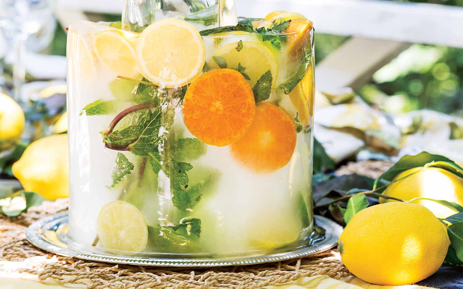 Citrus and Mint Ice Block Tutorial - Southern Lady Magazine