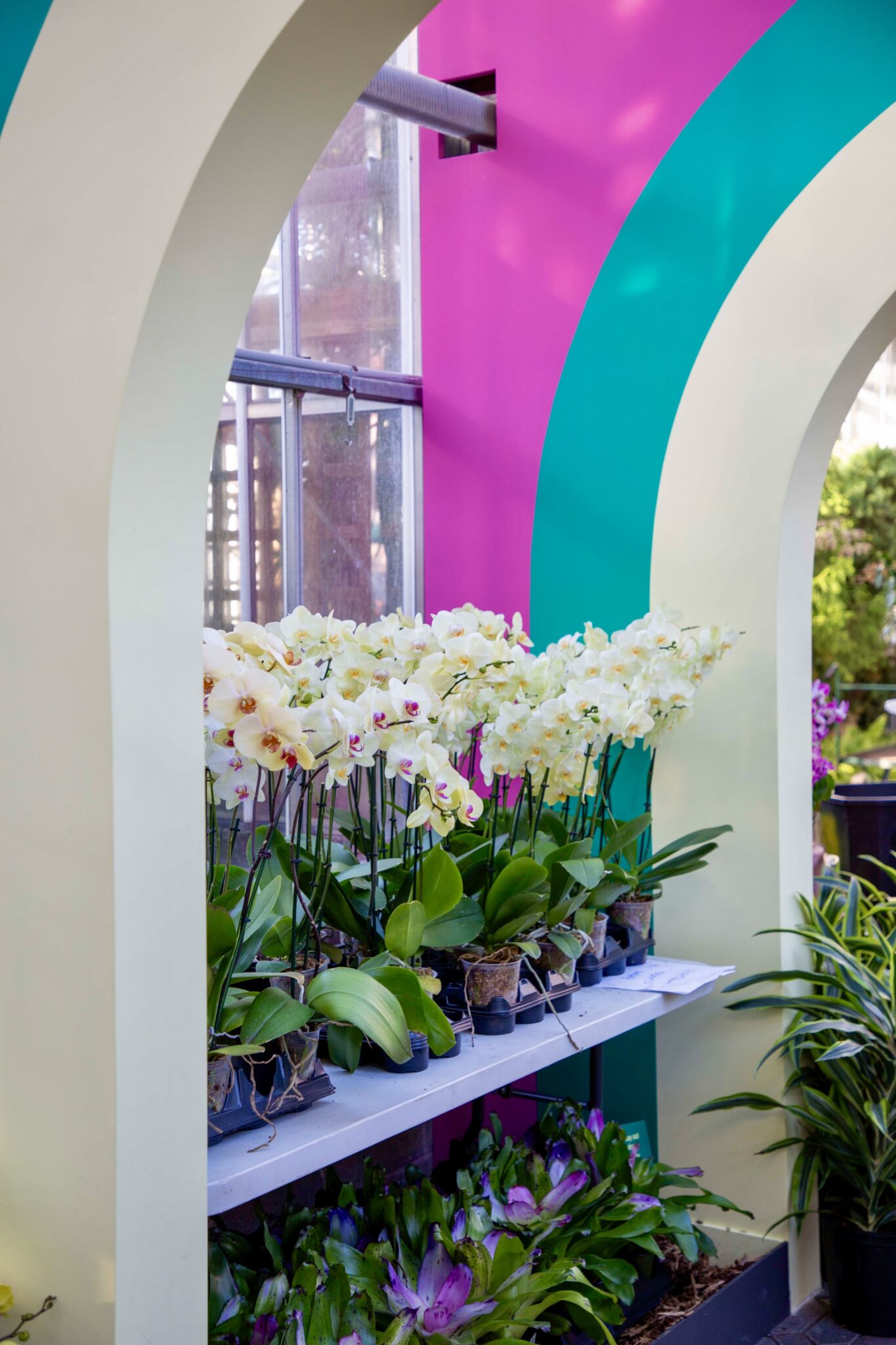 The Atlanta Botanical Garden and More to Explore This Spring - Southern ...