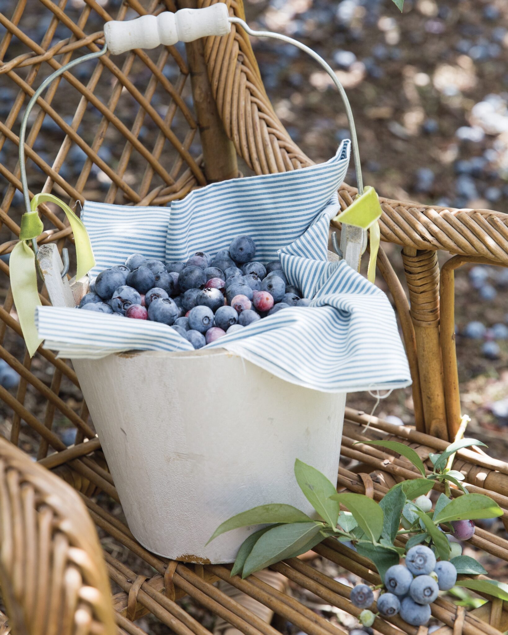 Our Top 9 Tempting Recipes for National Blueberry Day - Southern Lady ...